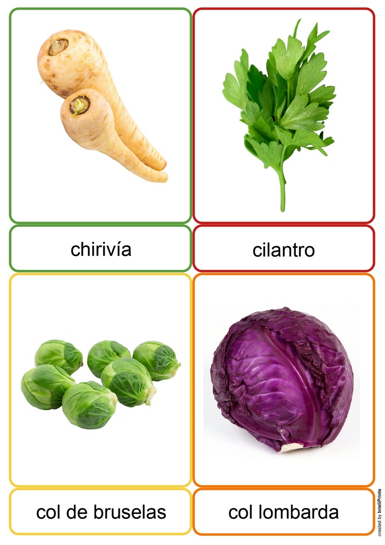 VEGETABLES Montessori SPANISH 40 Easy-to-cut Cards Real Photos ...