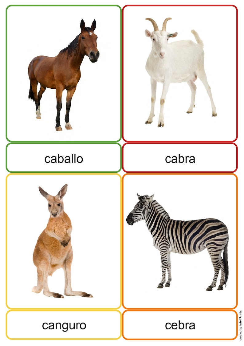 Montessori MAMMALS SPANISH 24 Easy-to-cut Educational Cards Real Photos ...