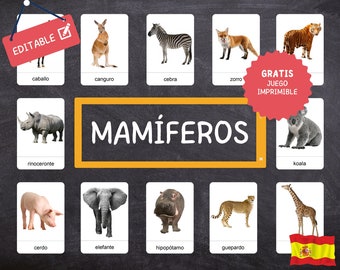 MAMMALS Montessori · ENGLISH · 24 Easy-to-cut Educational Cards · Real ...