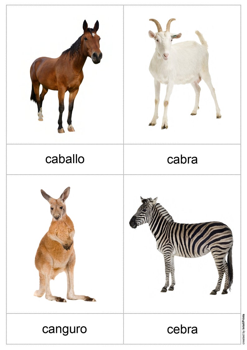 Montessori MAMMALS · SPANISH · 24 Easy-to-cut Educational Cards · Real ...