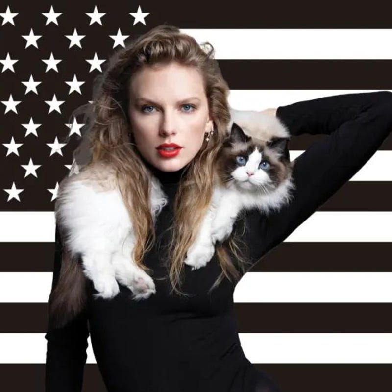Taylorswift Flag - Etsy
