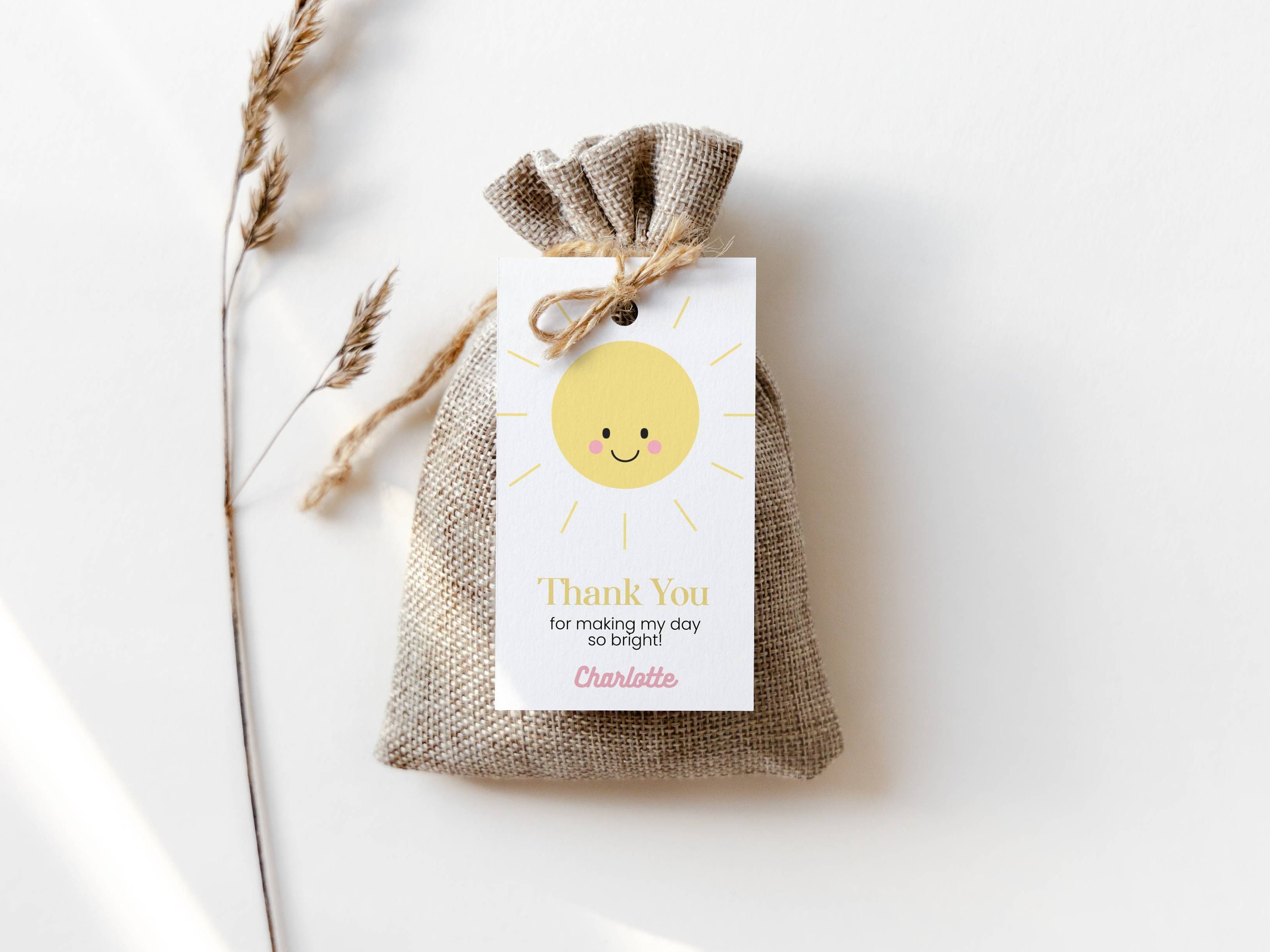 Sunshine Party Favor Tag Template, First Trip Around the Sun, Editable ...