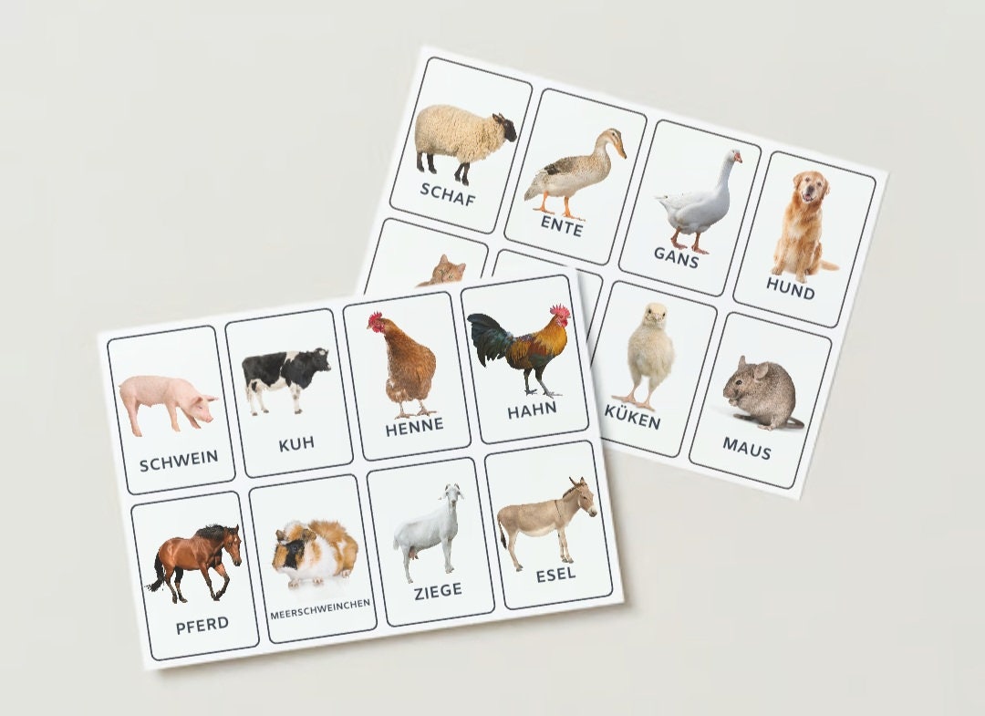 Flashcards Farm Animals | Toy Sorting Cards Animals | Montessori I ...