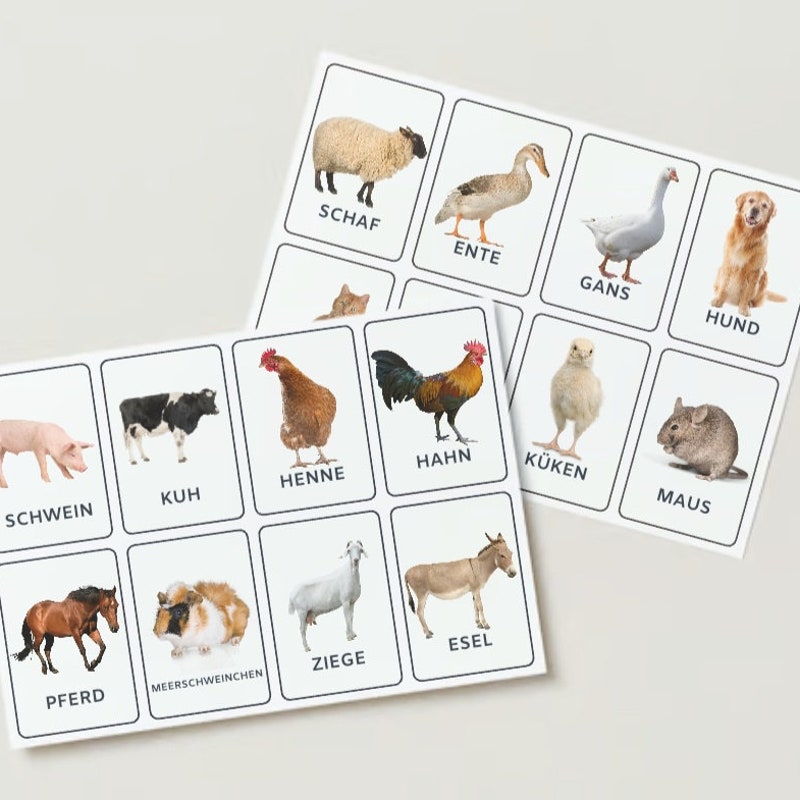 Montessori Language - Etsy