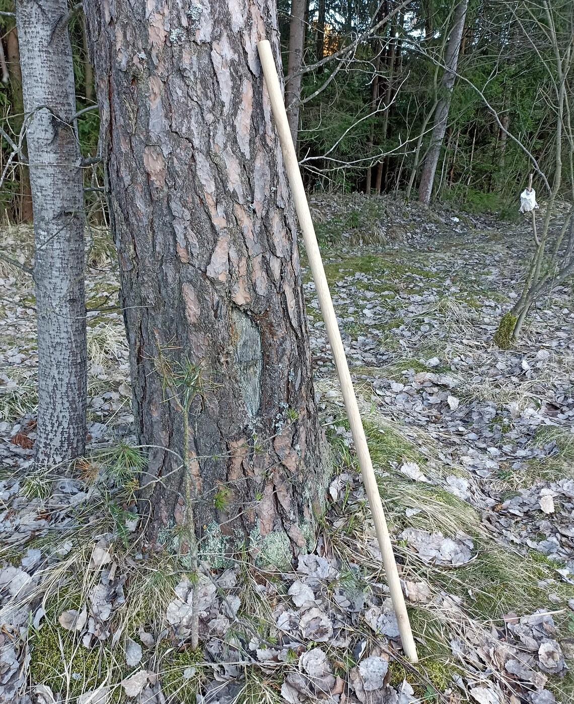 Oak Bo Staff Jo Staff quércus for Martial Arts, Karate, Kobudo, Aikido ...