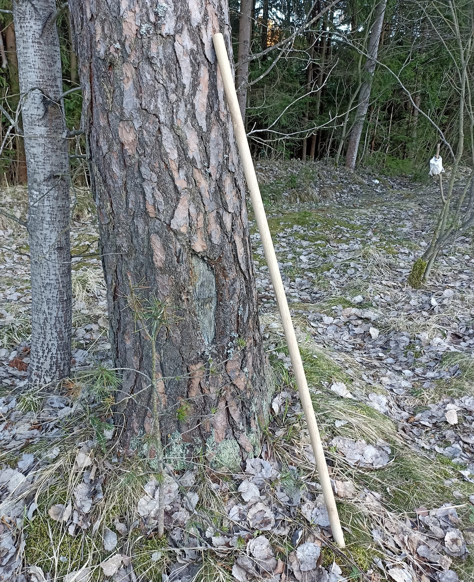 Oak Bo Staff | Jo Staff (quércus) for Martial Arts, Karate, Kobudo ...