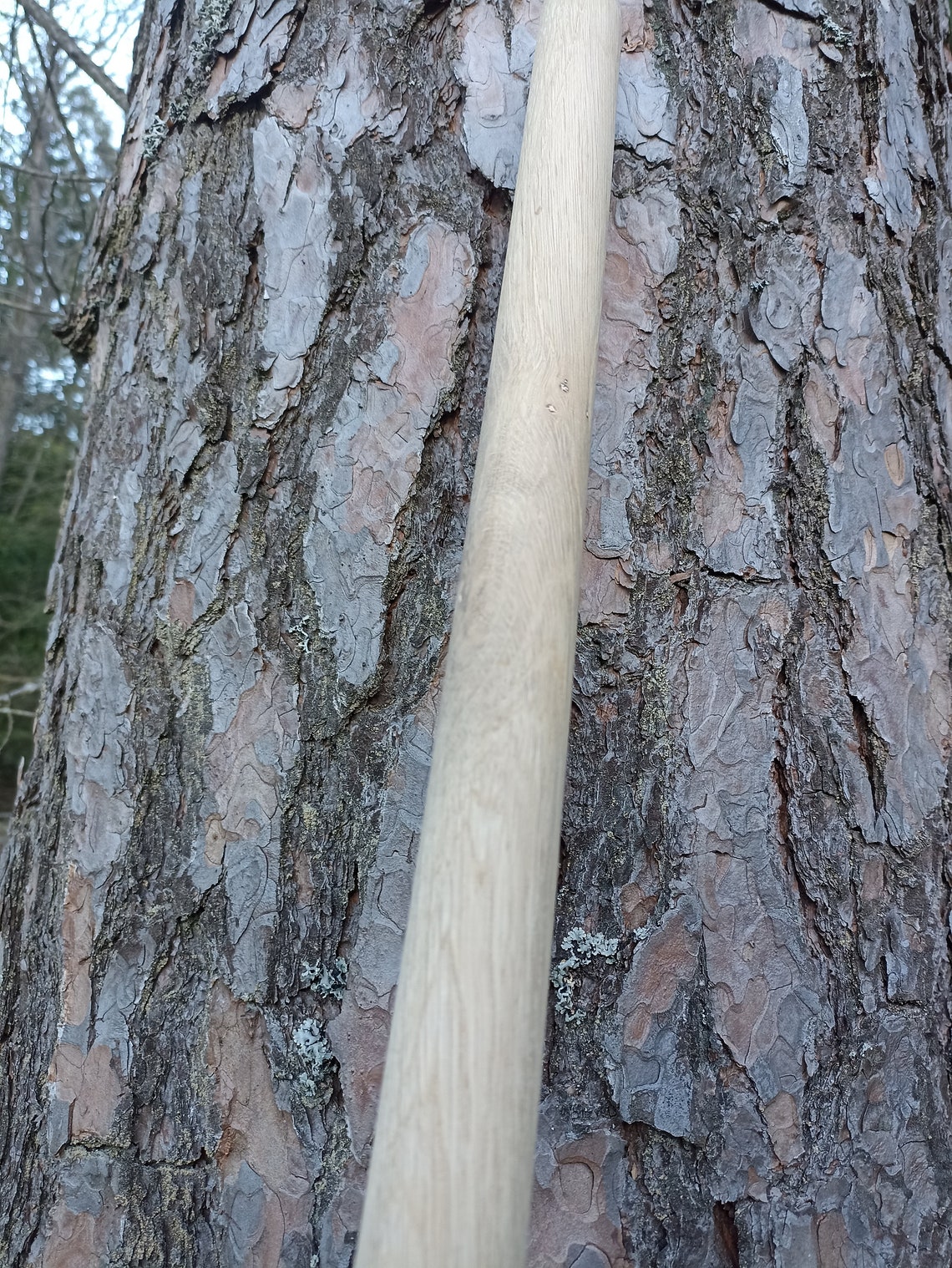 Oak Bo Staff Jo Staff quércus for Martial Arts, Karate, Kobudo, Aikido ...