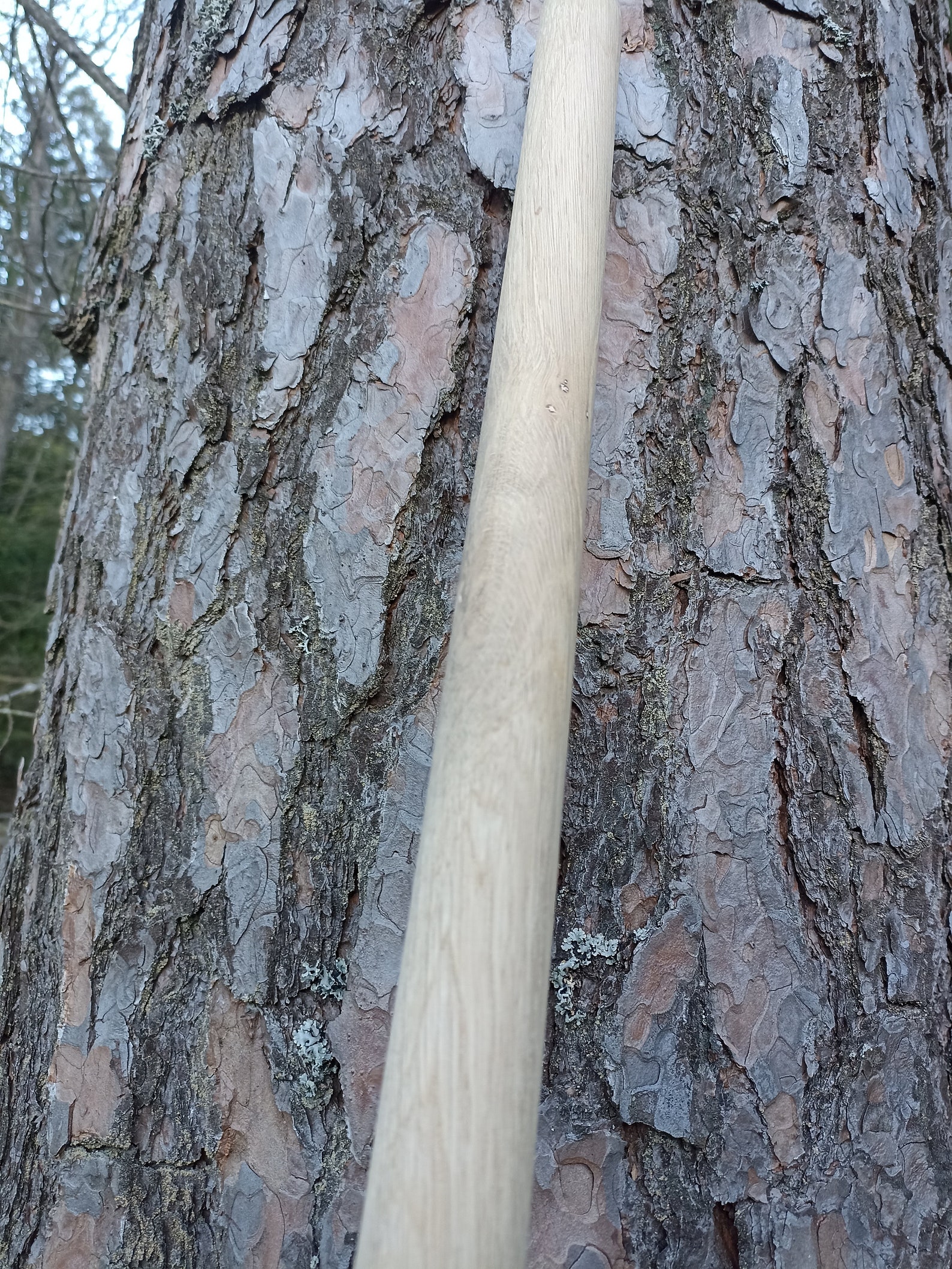 Oak Bo Staff | Jo Staff (quércus) for Martial Arts, Karate, Kobudo ...