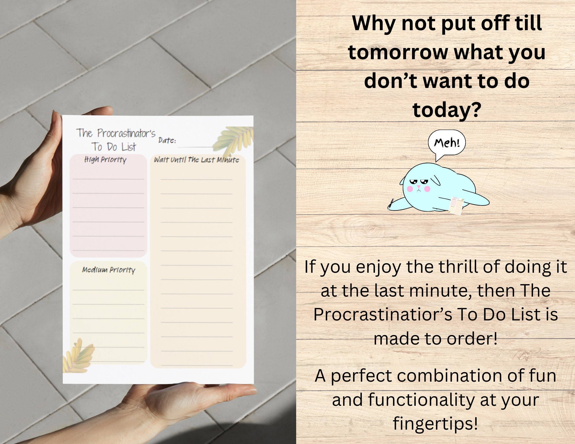 Funny Procrastination To-do List: Quirky Lazy Day Planner (PDF Digital ...