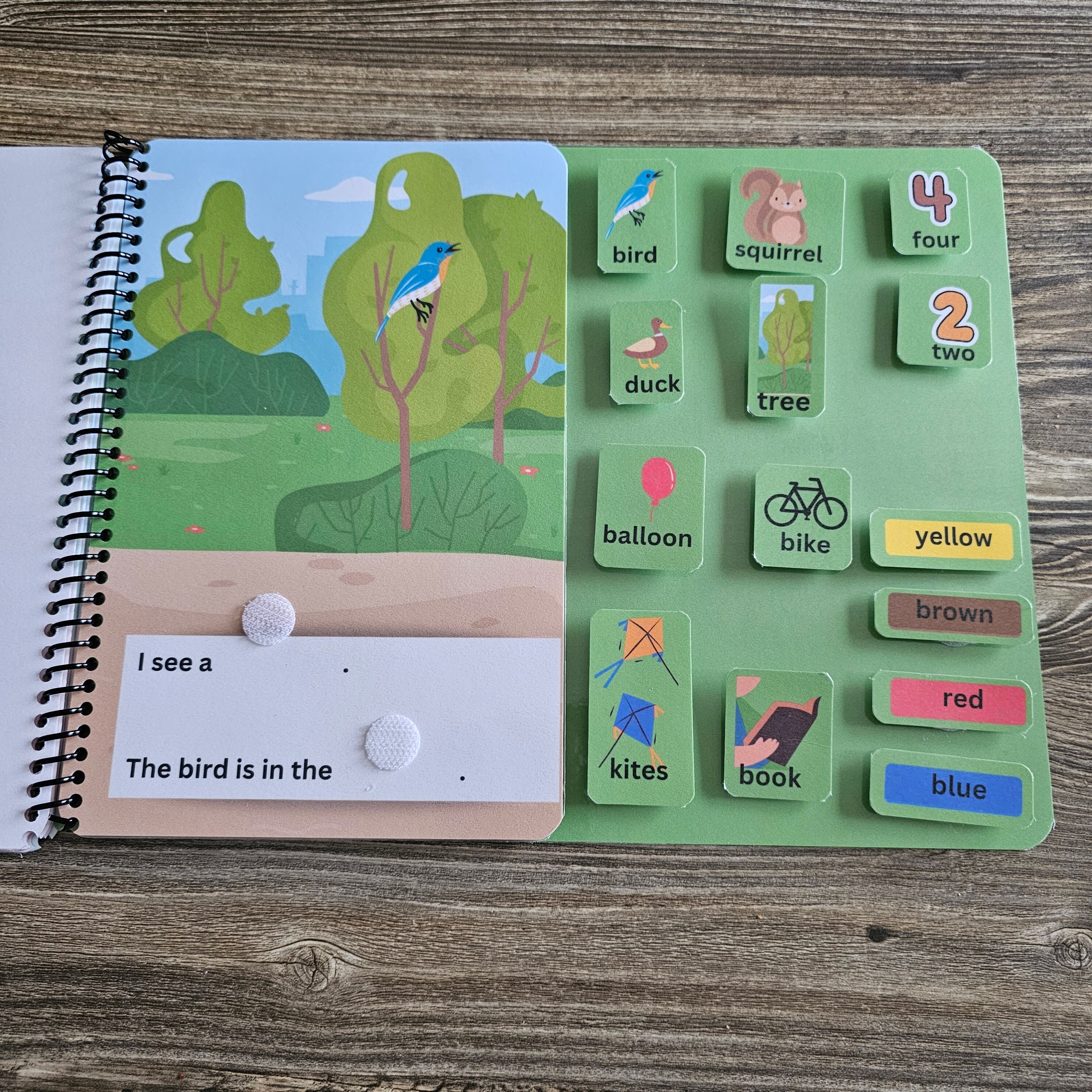 A Day at the Park Adaptive Learning Book - Etsy