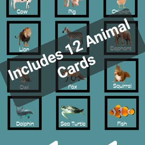 Interactive Mini Lesson- Animal Habitats - Etsy