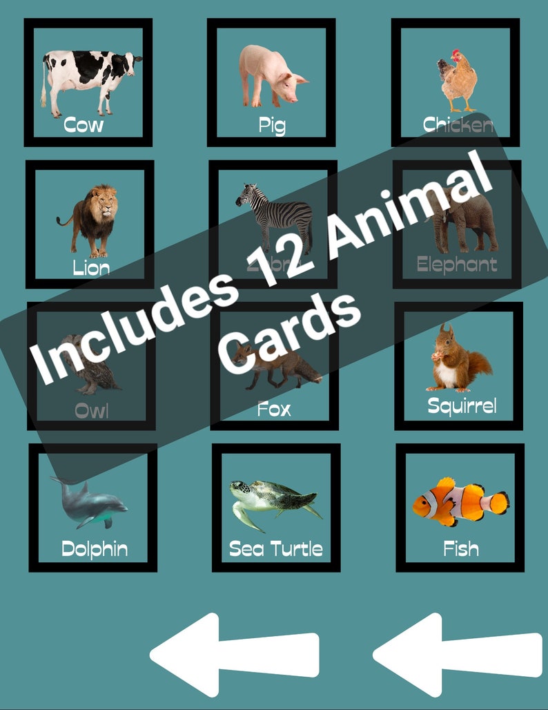 Interactive Mini Lesson- Animal Habitats - Etsy