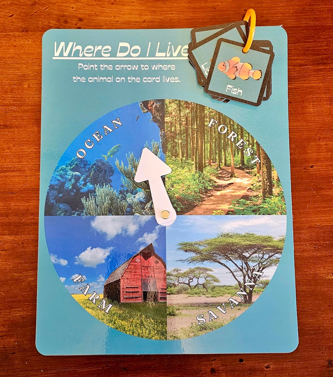 Interactive Mini Lesson- Animal Habitats - Etsy