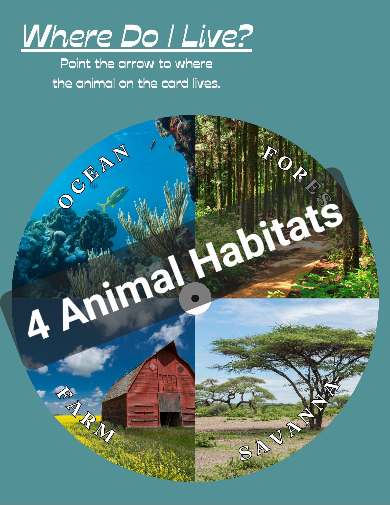 Interactive Mini Lesson- Animal Habitats - Etsy