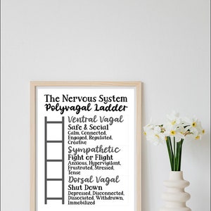Polyvagal Theory Poster | Nervous System Regulation | Autonomic Ladder ...
