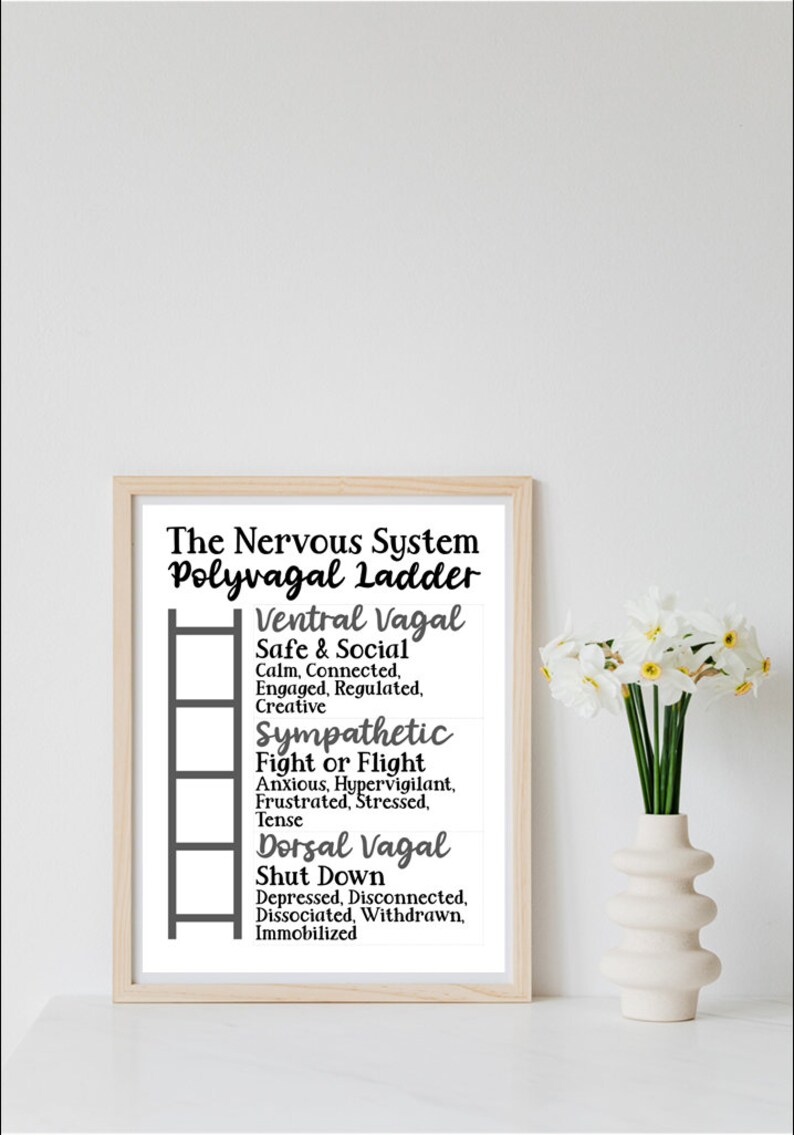 Polyvagal Theory Poster | Nervous System Regulation | Autonomic Ladder ...
