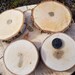 50 VERY LARGE Tree Slices-painter Quality-completely Dried-sanded Blank ...