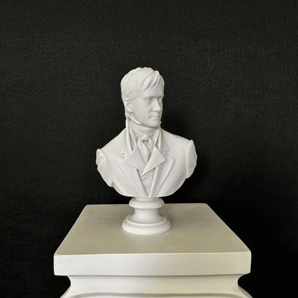 Mr Darcy - Etsy