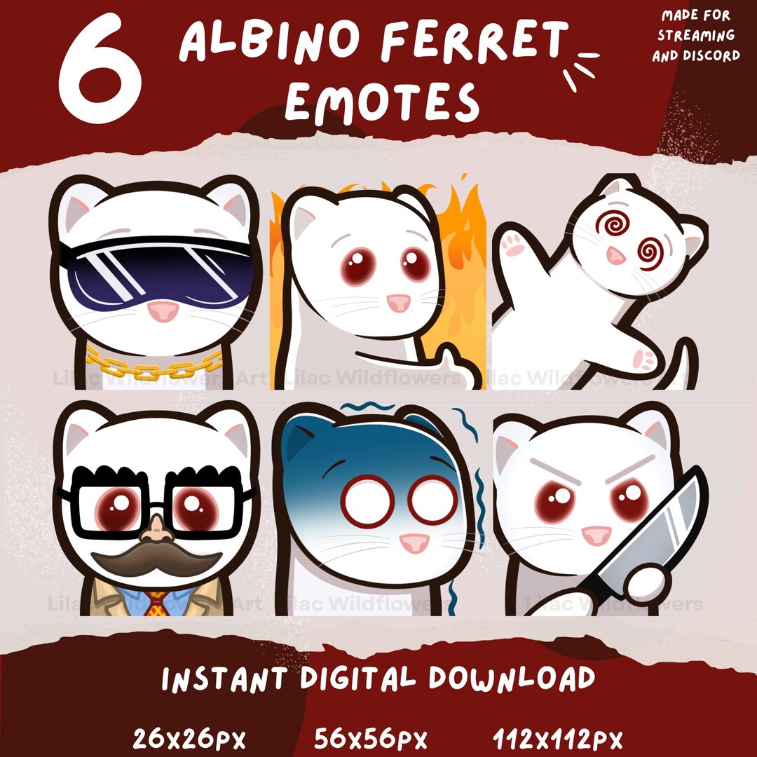 Albino Ferret Emotes for Twitch, Discord, Kick, Youtube (digital ...