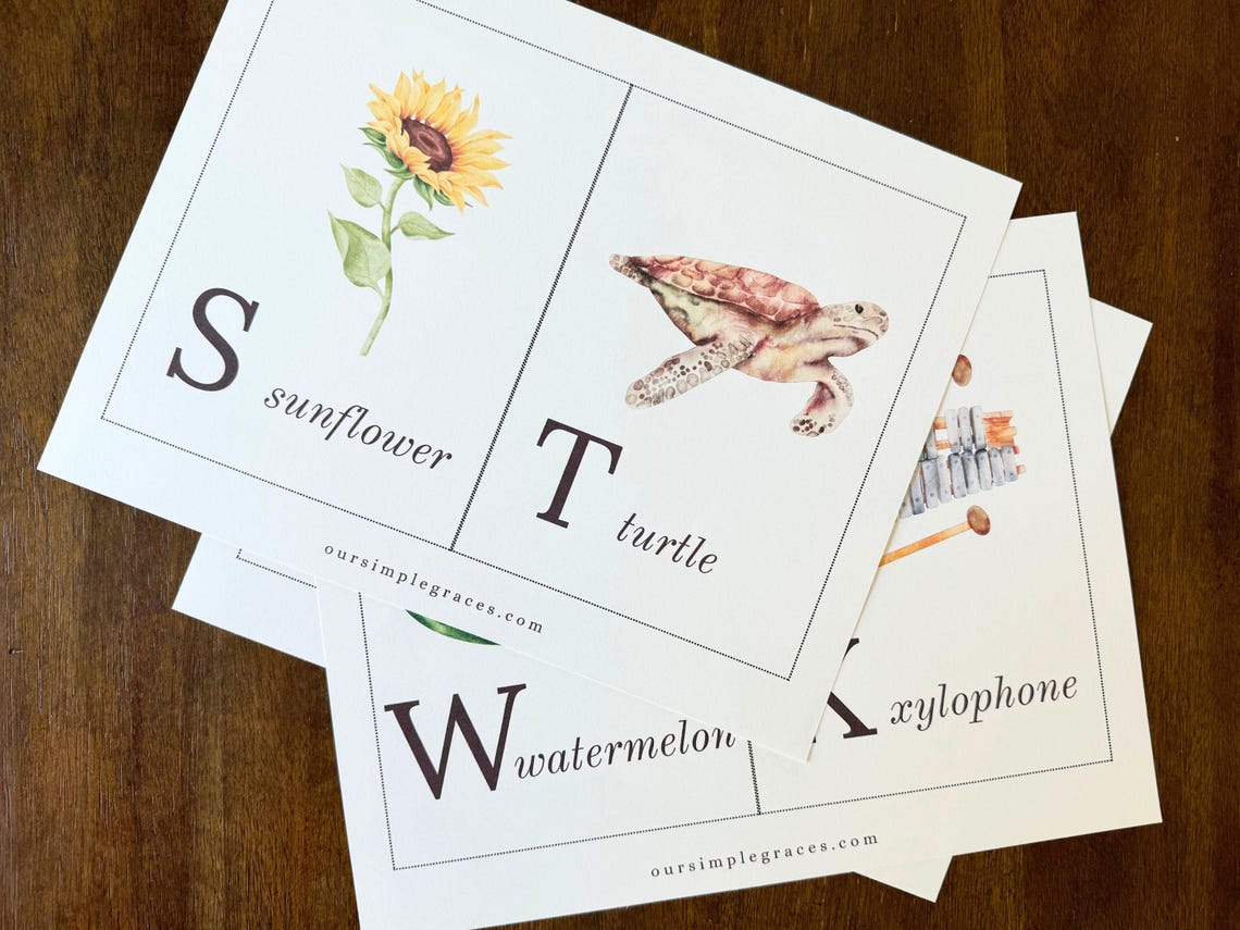 Alphabet Watercolor Notecards Printable Alphabet Cards Beautiful ...