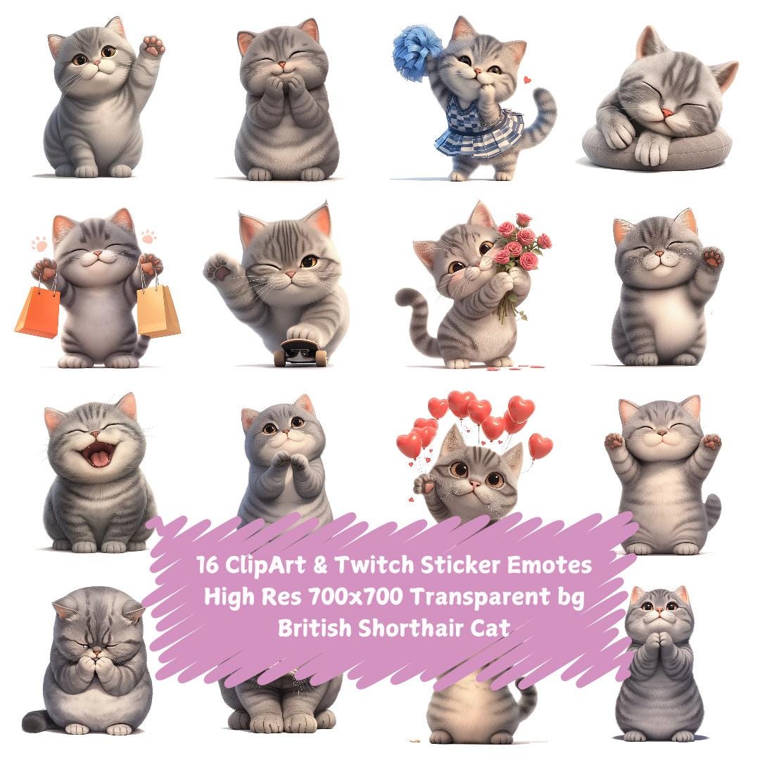 16 Cute British Shorthair Cat, Twitch Sticker Emote, Transparent PNG ...