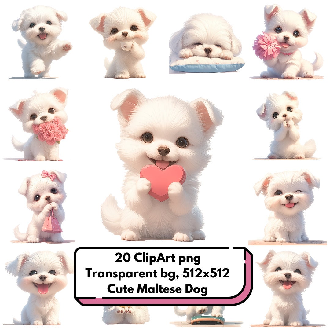 20 Maltese, White Maltese Dog, Transparent PNG, Clipart, Digital ...
