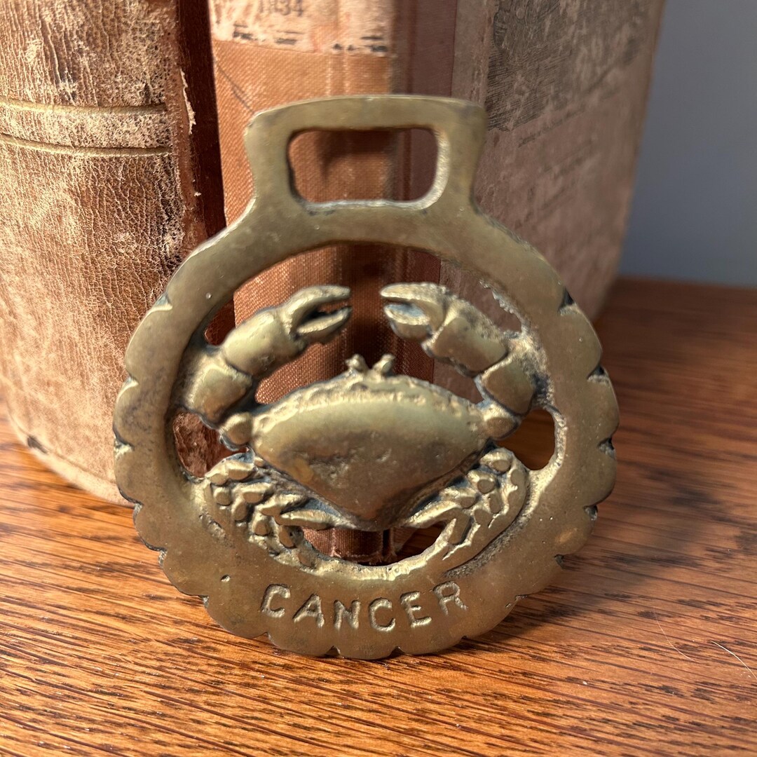 English Brass Horse Medallion Cancer Design - Etsy