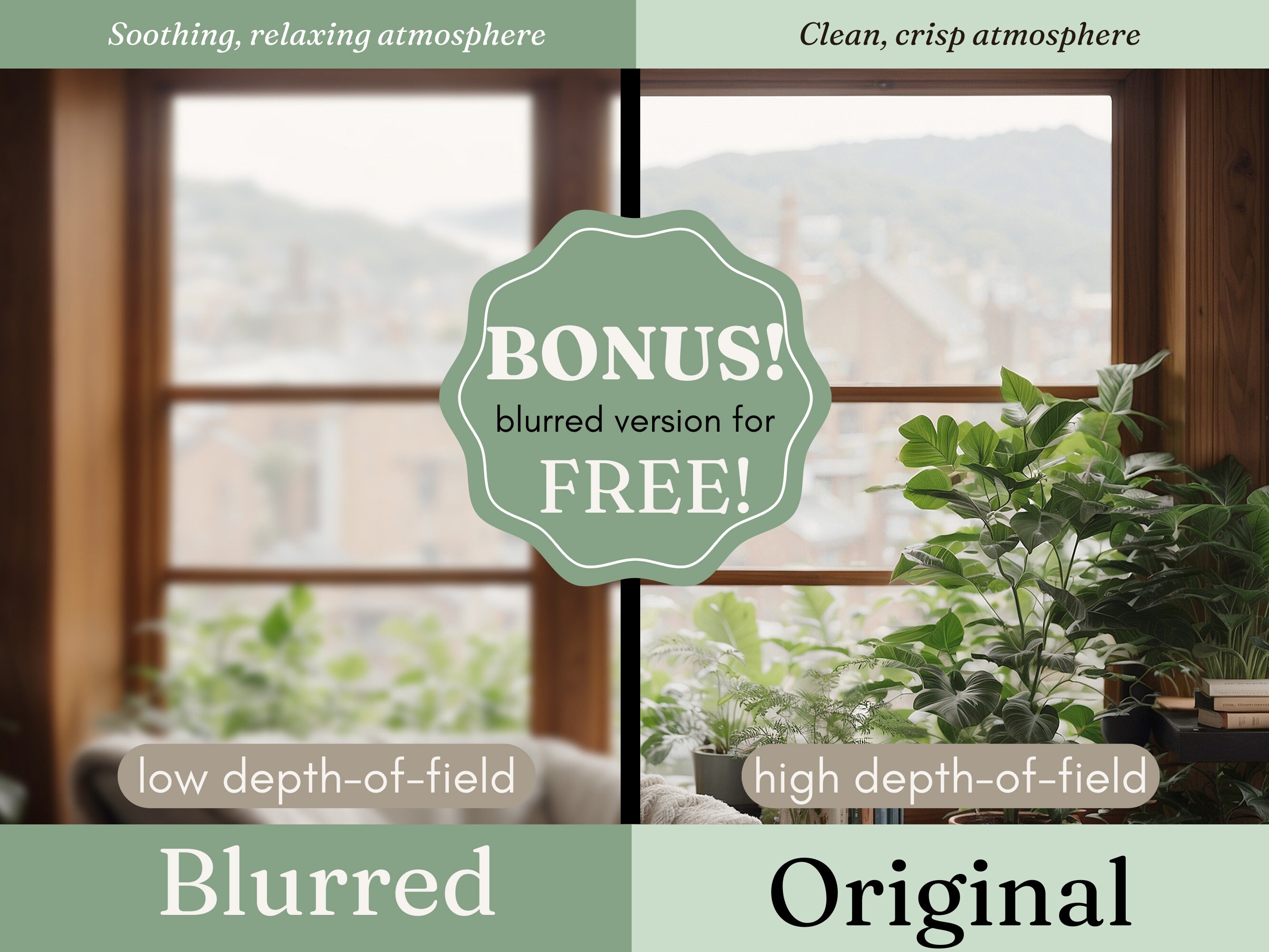 Cozy Plant Nook Virtual Background | HD Quality | Personalize Your ...