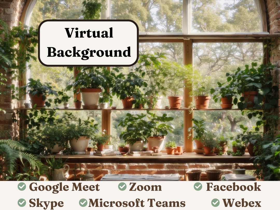 Virtual Background - Solarium Shelves | HD Quality | Personalize Your ...