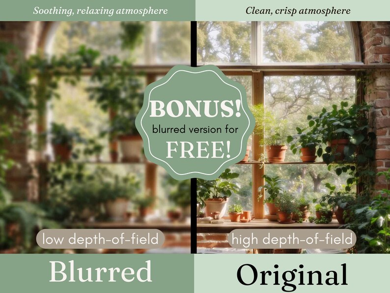 Virtual Background - Solarium Shelves | HD Quality | Personalize Your ...