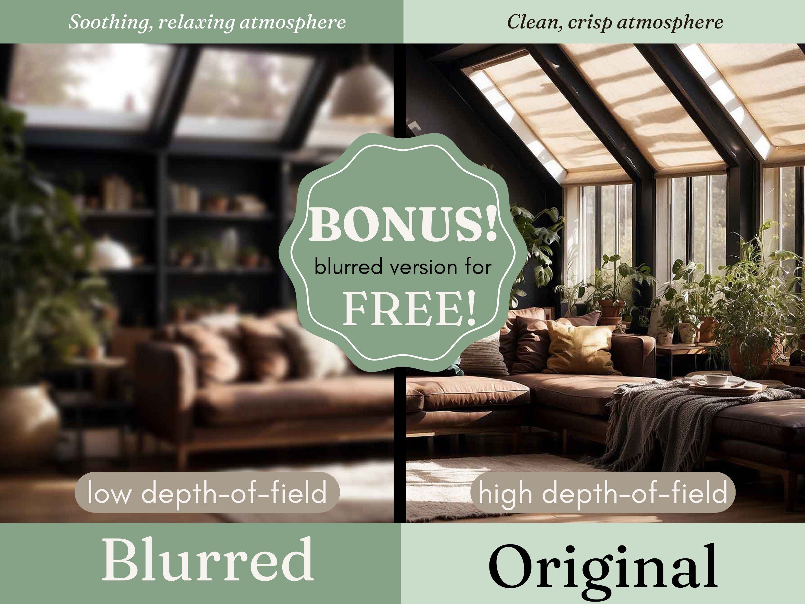Virtual Background - Moody Sunroom | HD Quality | Personalize Your ...