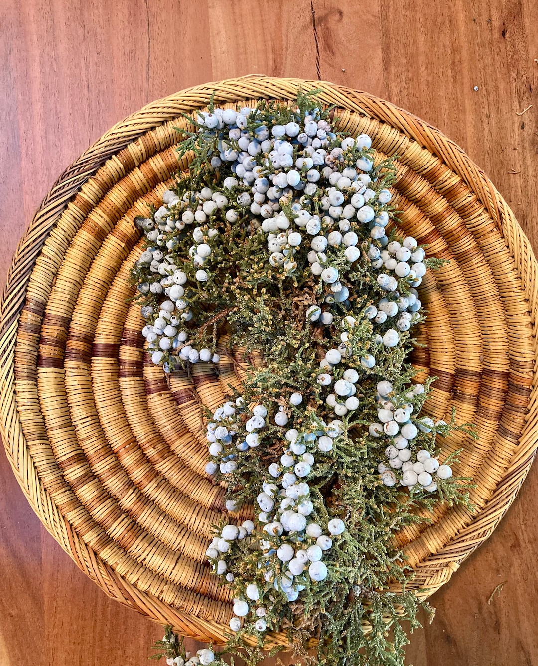 Fresh Cut Juniper, Boughs, Winter Greenery - Etsy