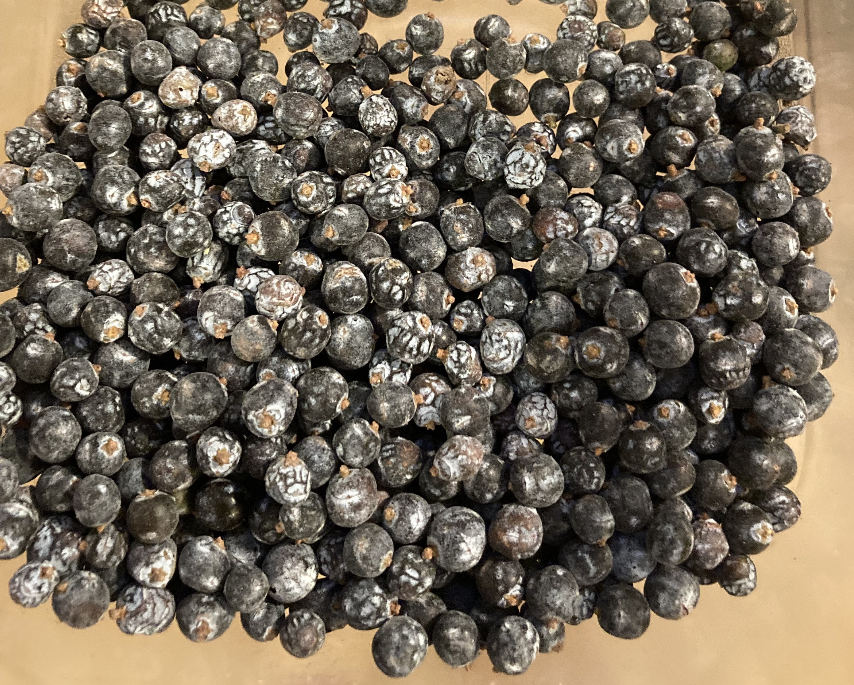 Juniper Berries, Bulk, Cooking, Home Decor, Spices - Etsy