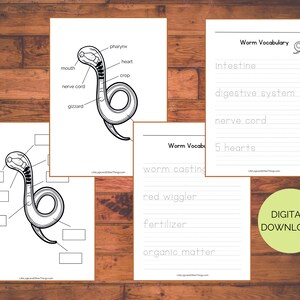 Composting Worm Anatomy Mini Unit Study for Homeschool Co-ops and ...