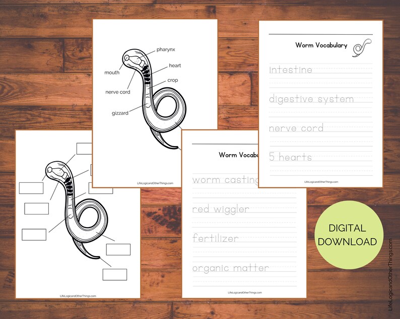 Composting Worm Anatomy Mini Unit Study for Homeschool Co-ops and ...