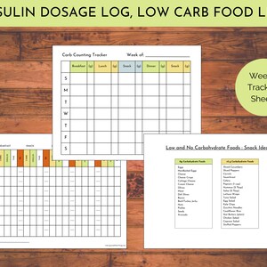 Blood Sugar Log & Carbohydrate Counting Tracker for Diabetes, Insulin ...