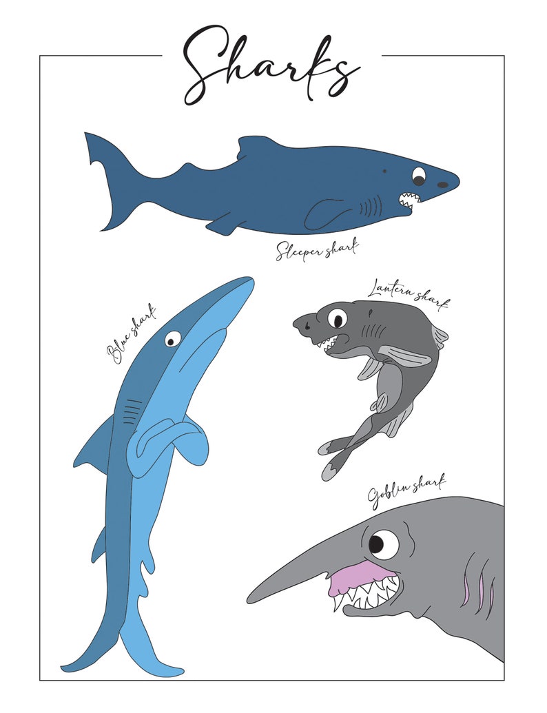 Shark Prints, Shark Species Art, , Shark Art, Types of Sharks, Shark ...