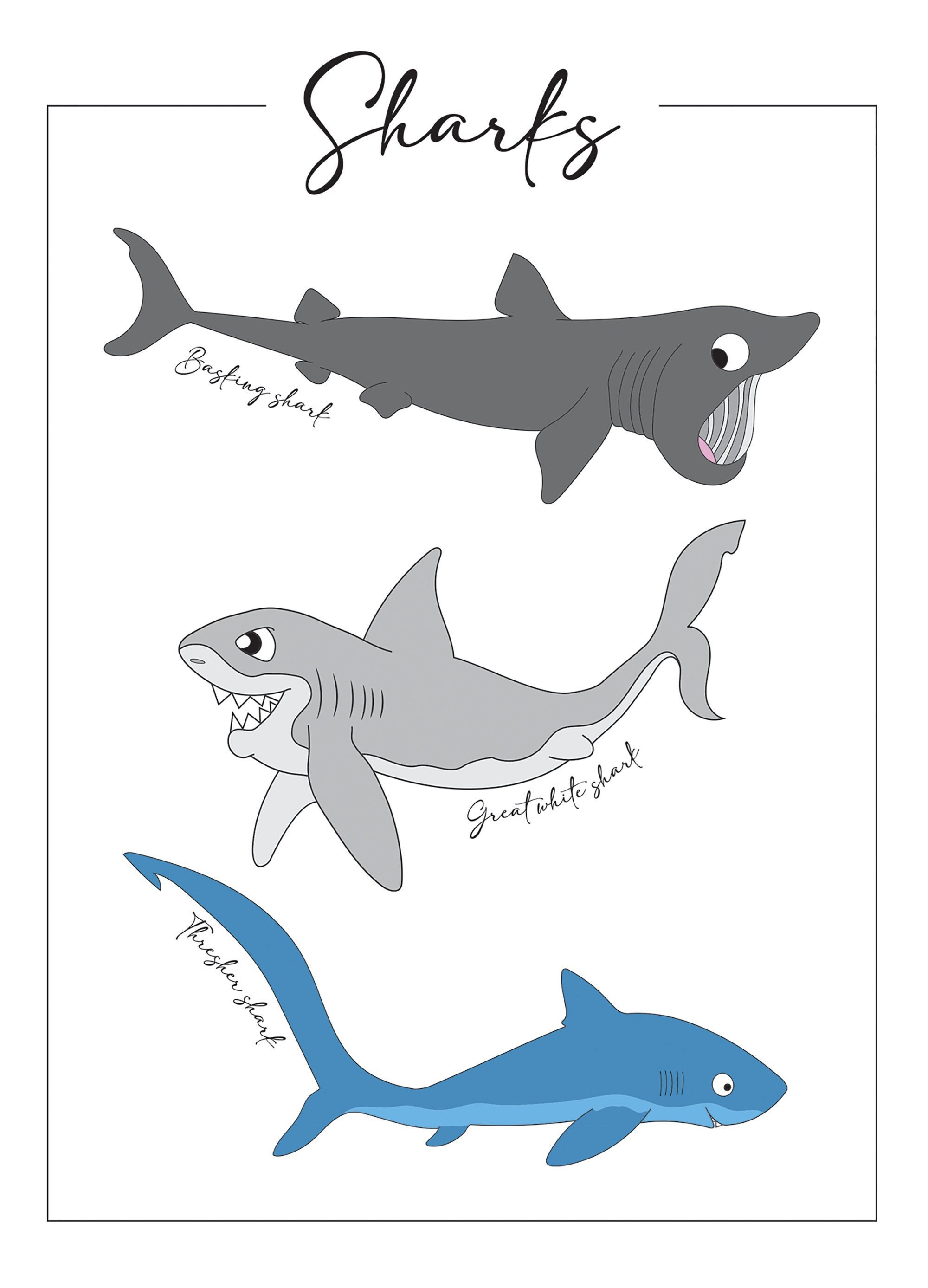 Shark Prints, Shark Species Art, , Shark Art, Types of Sharks, Shark ...
