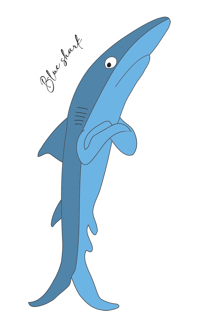 Shark Prints, Shark Species Art, , Shark Art, Types of Sharks, Shark ...