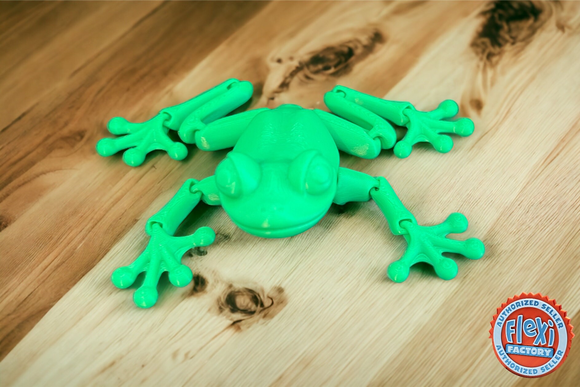 3D Printed Articulated Frog - Etsy