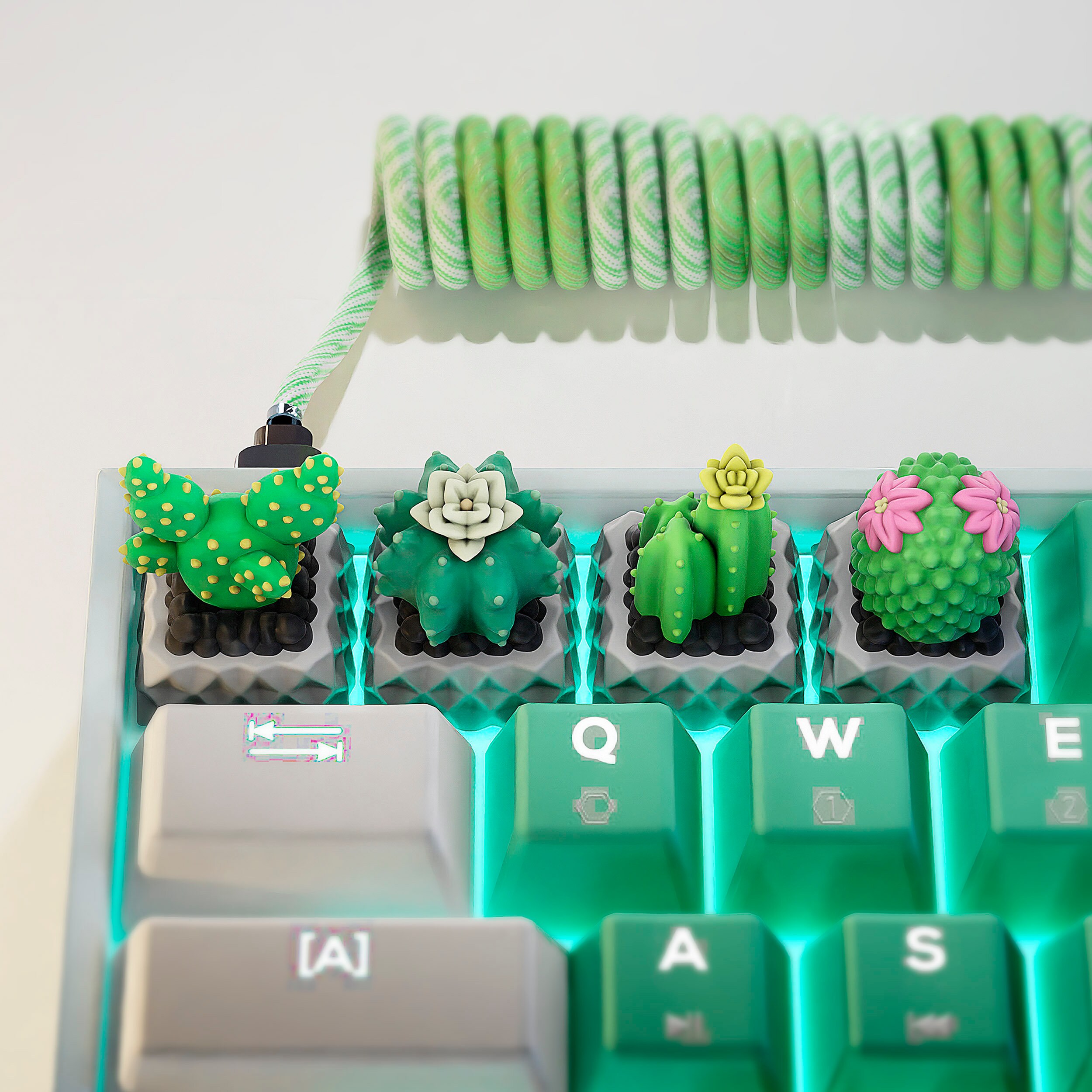 Cactus Keycaps, Cutom Artisan Keycaps, Plants Keycaps, Nature Keycaps ...