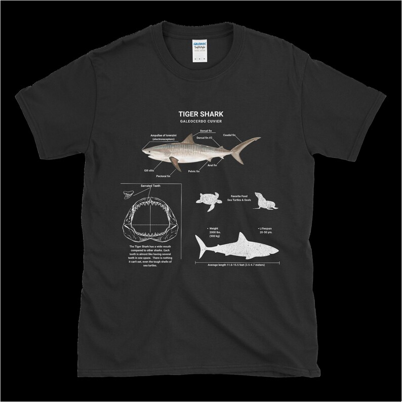 Original Tiger Shark Anatomy Design T-shirt / Shark Shirt / Shark Week ...