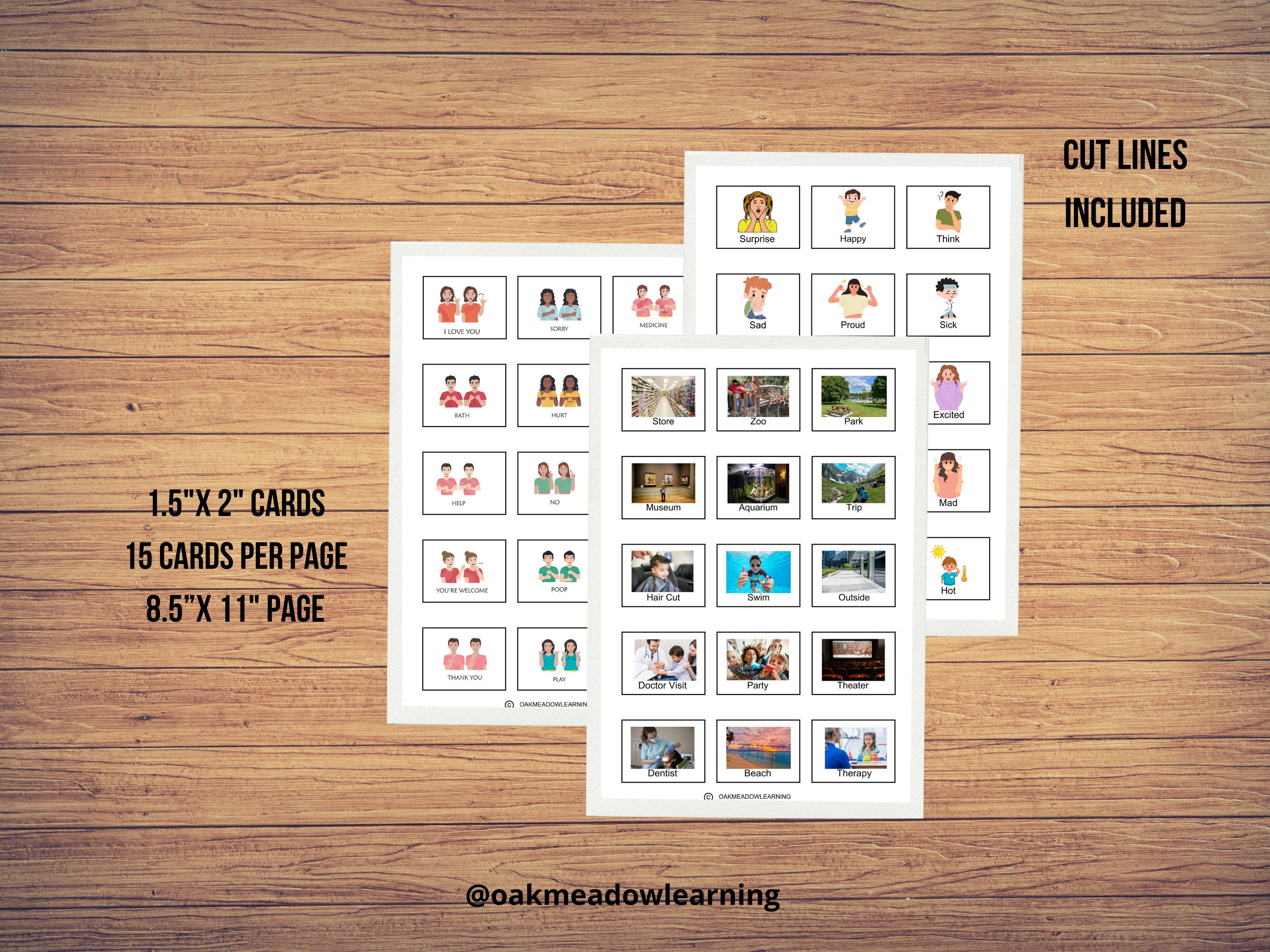 300 Digital Picture Cards for Speech Therapy, Autism Communication ...