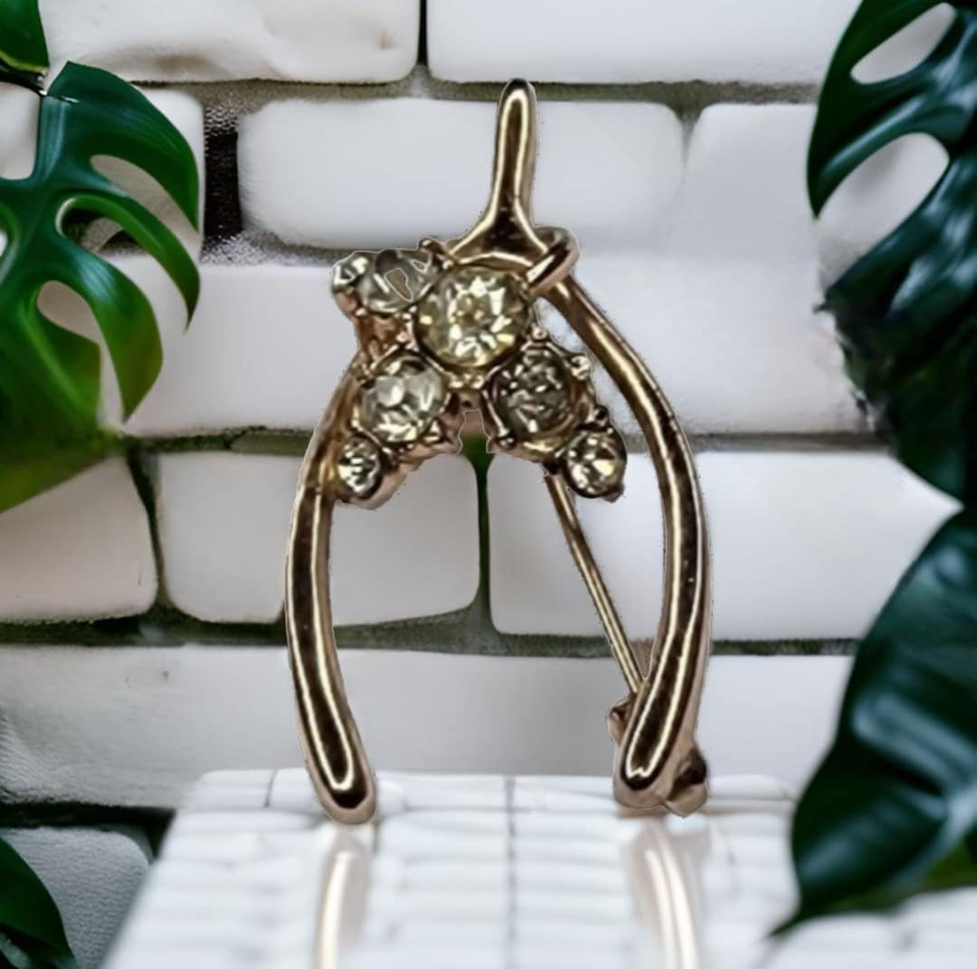 Vintage Brooch for Good Luck Pin Rhinestone Wishbone Brooch Gift for ...