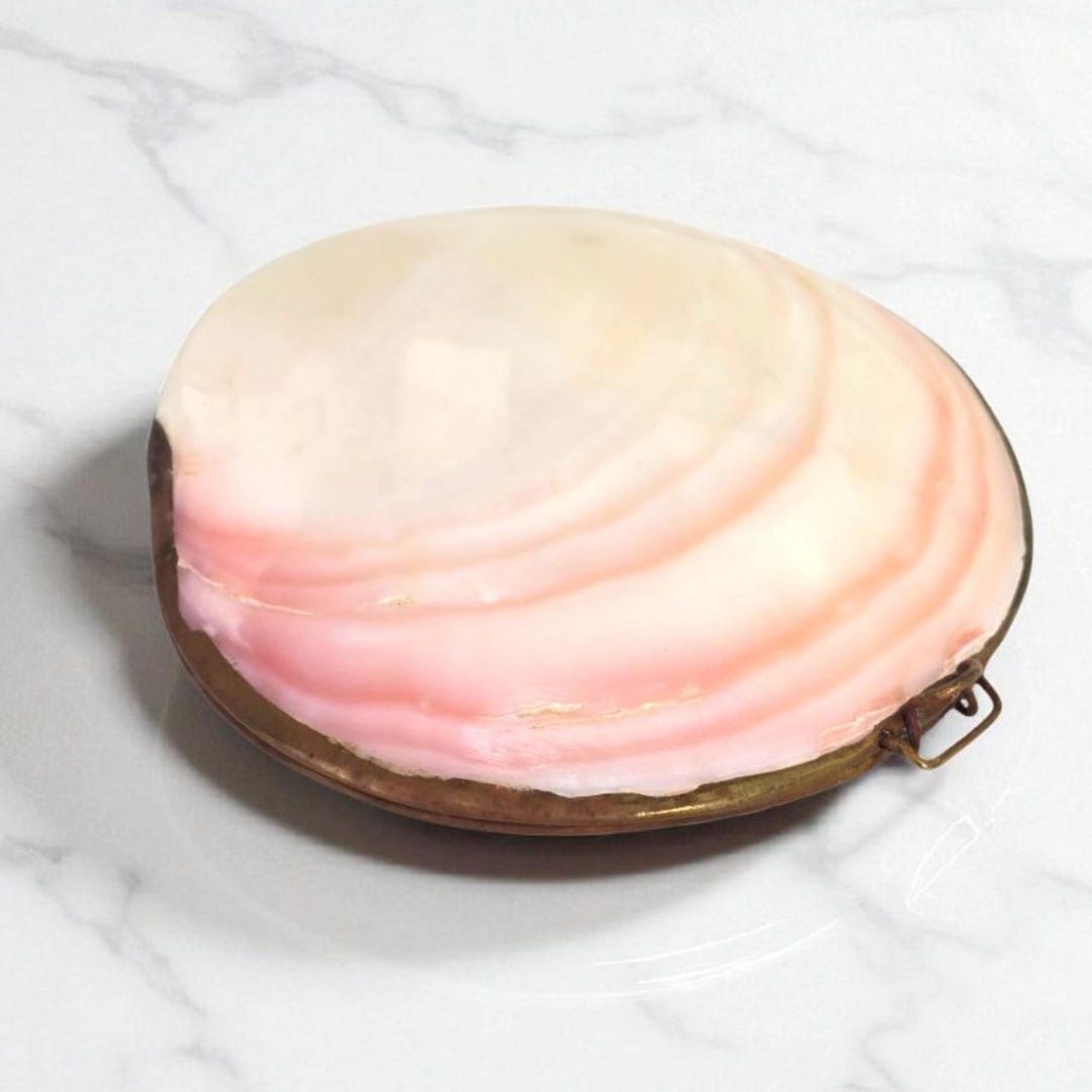 Vintage Natural White and Pink Clam Seashell Brass Hinged Trinket Box ...