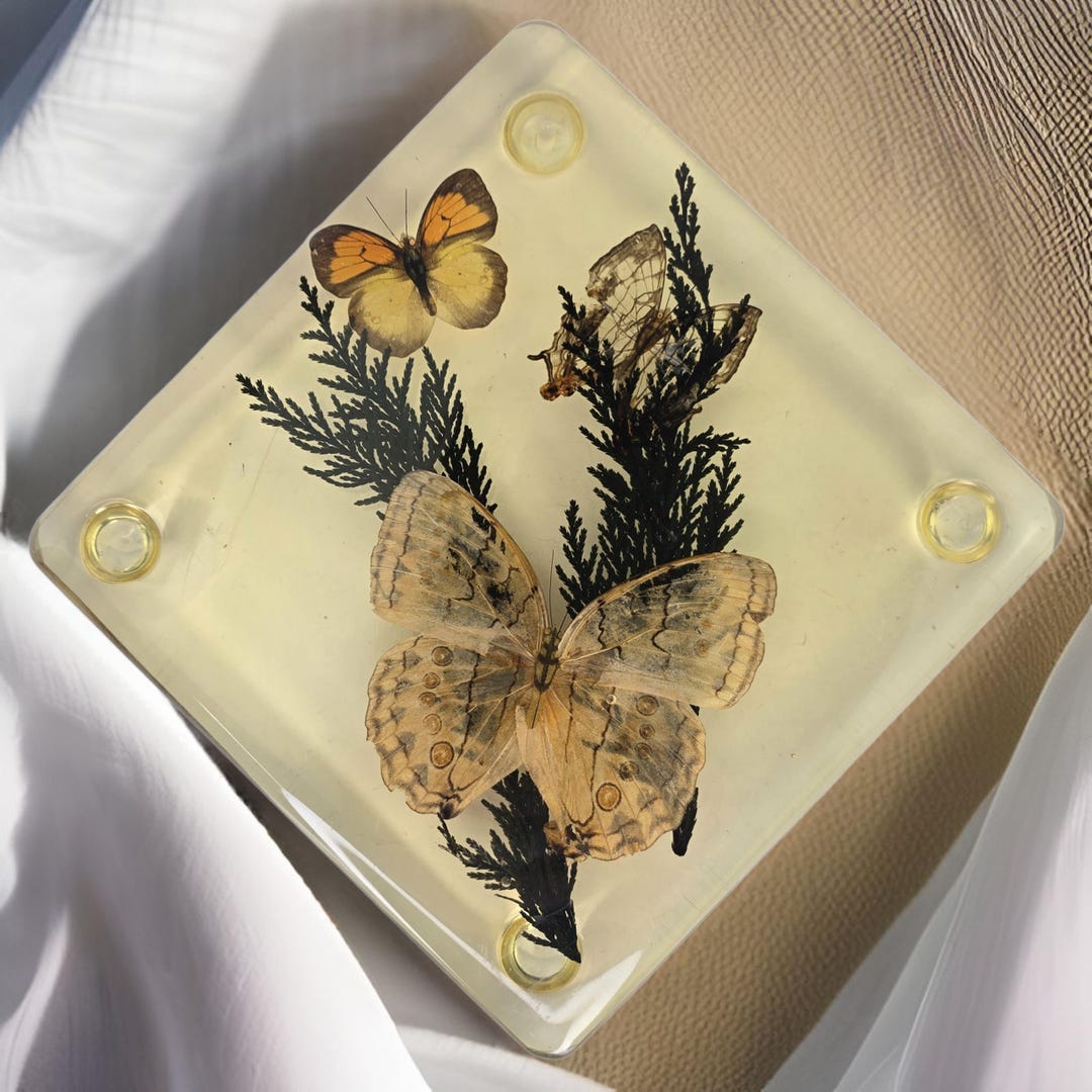 Vintage Large Lucite Trivet With Real Butterflies Unique Nature Gift ...