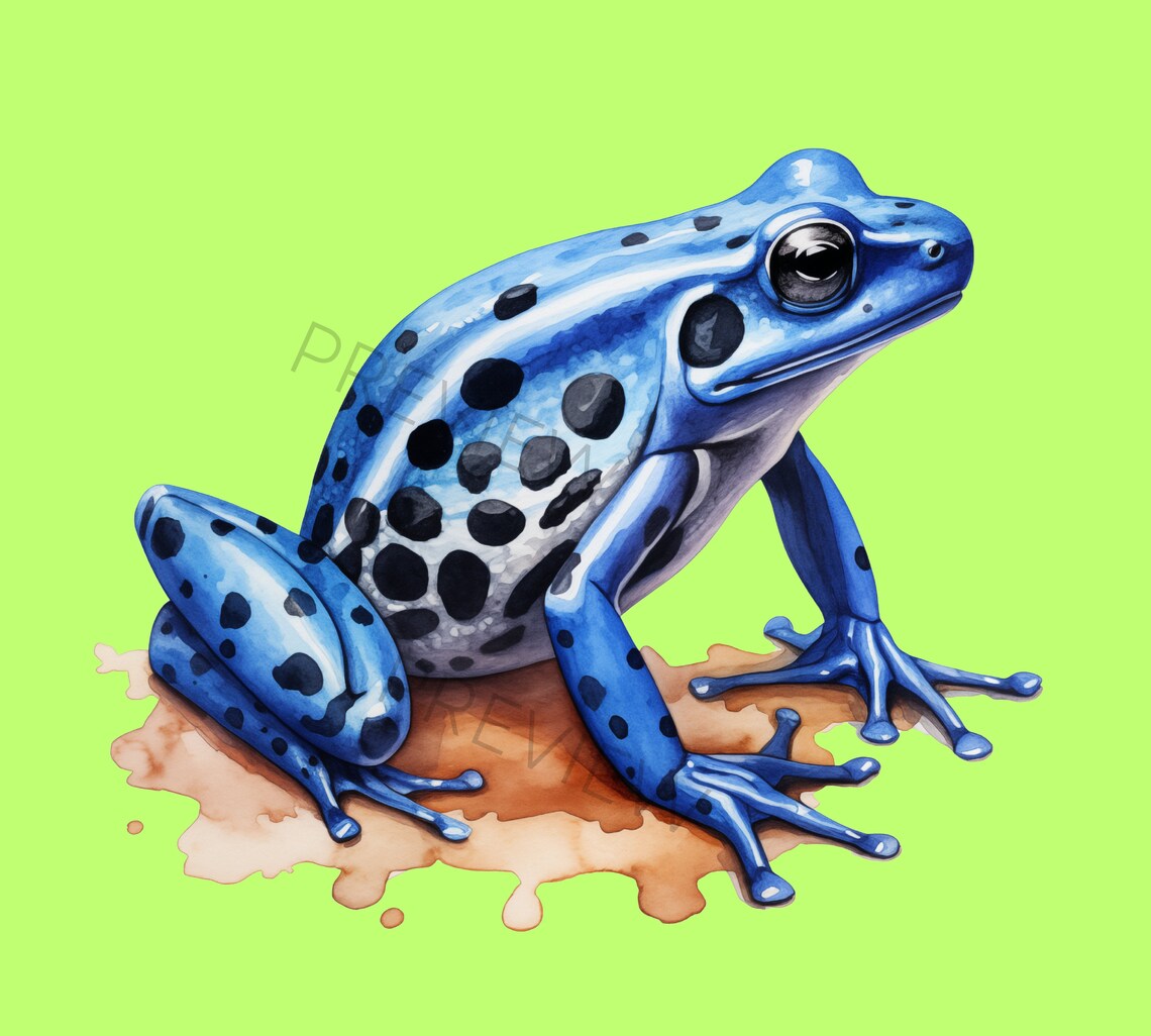 Frogs Clip Art Beautiful Frog PNG Green Frog Designs Digital Frog Art ...