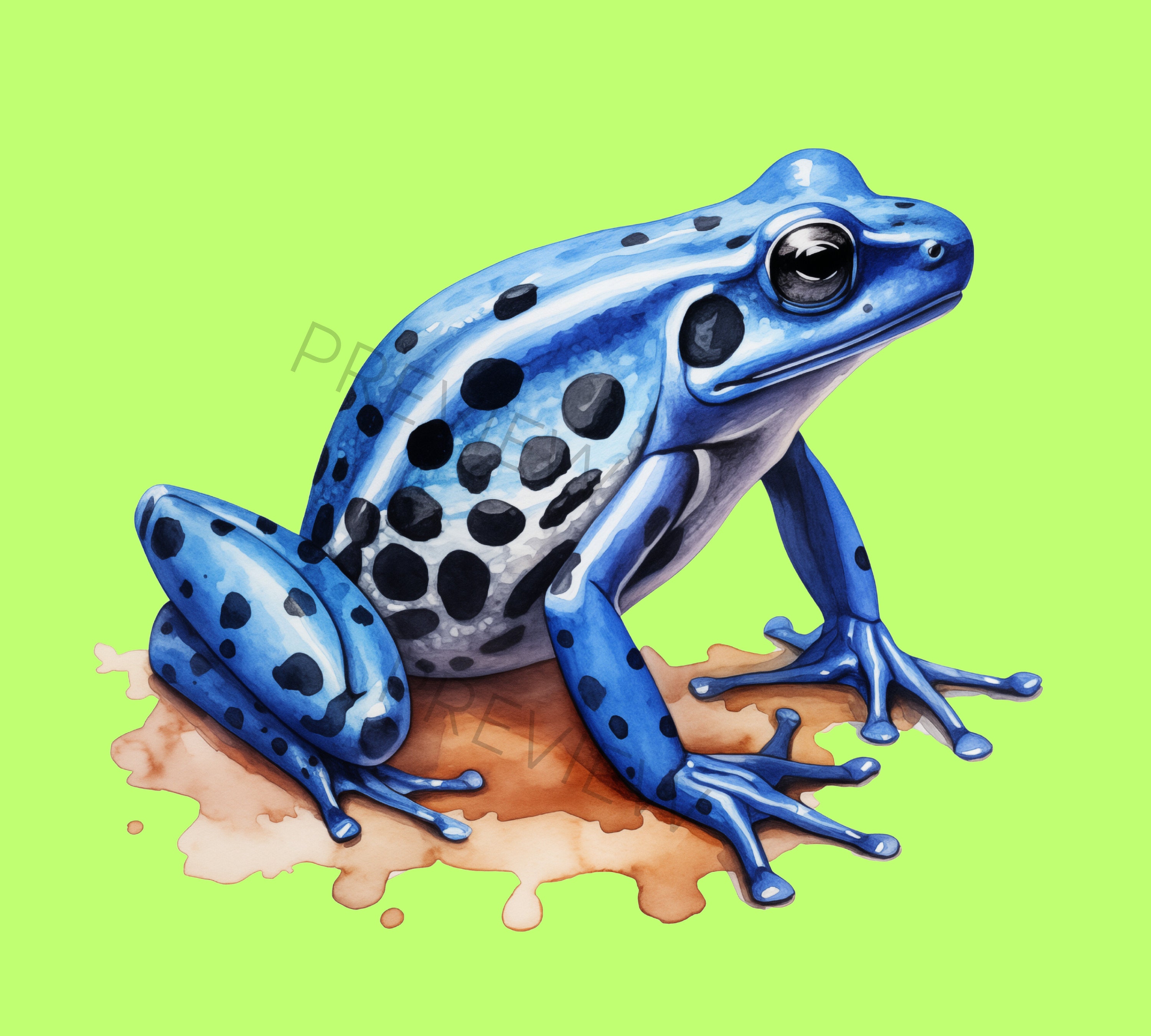 Frogs Clip Art Beautiful Frog PNG Green Frog Designs Digital Frog Art ...