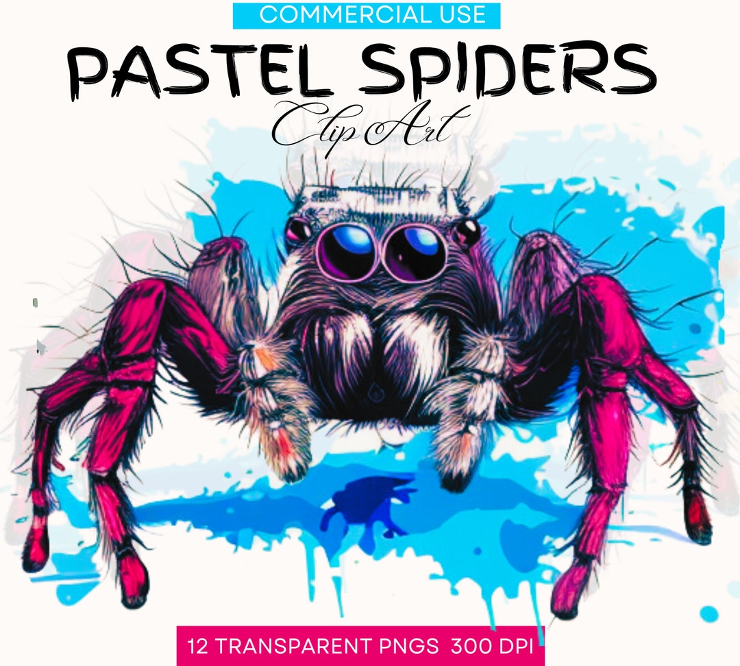 Watercolor Spider Clip Art Cute Bug Png Jumping Spider Clipart Spider ...