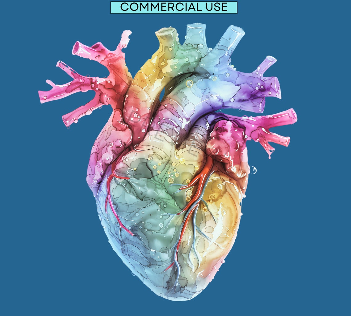 Light Pastel Human Heart | Anatomy Clipart | Heart Clipart | Medical ...